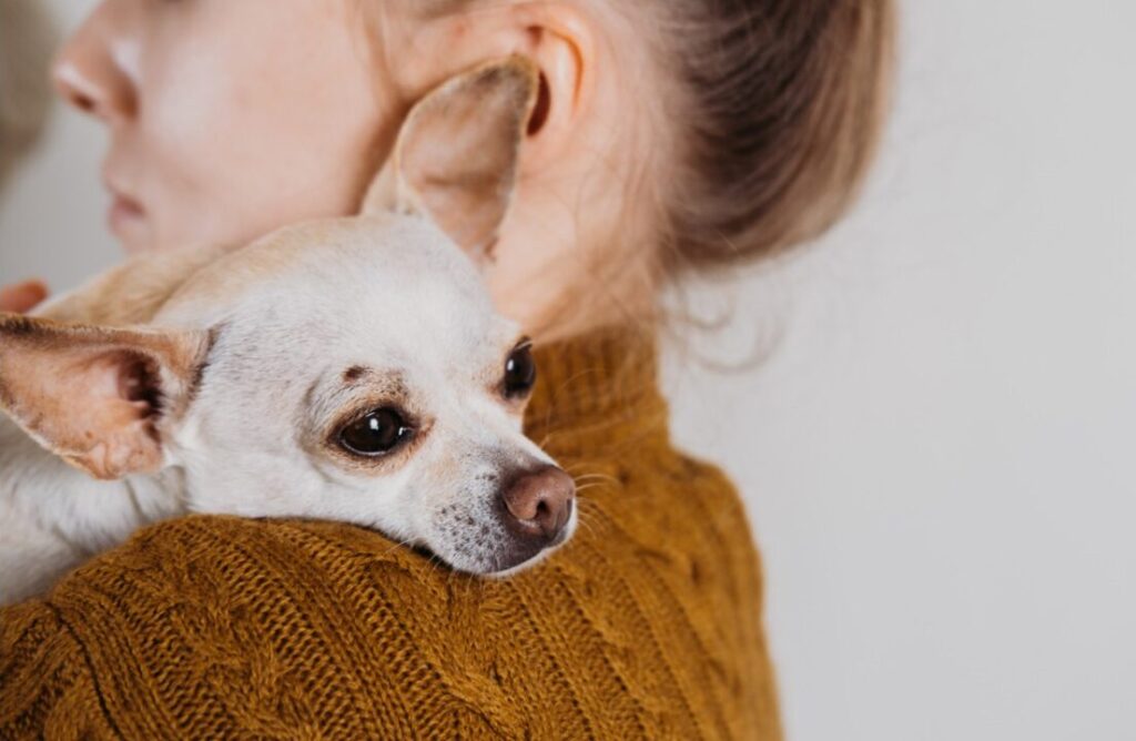 APM - All Paws Matter